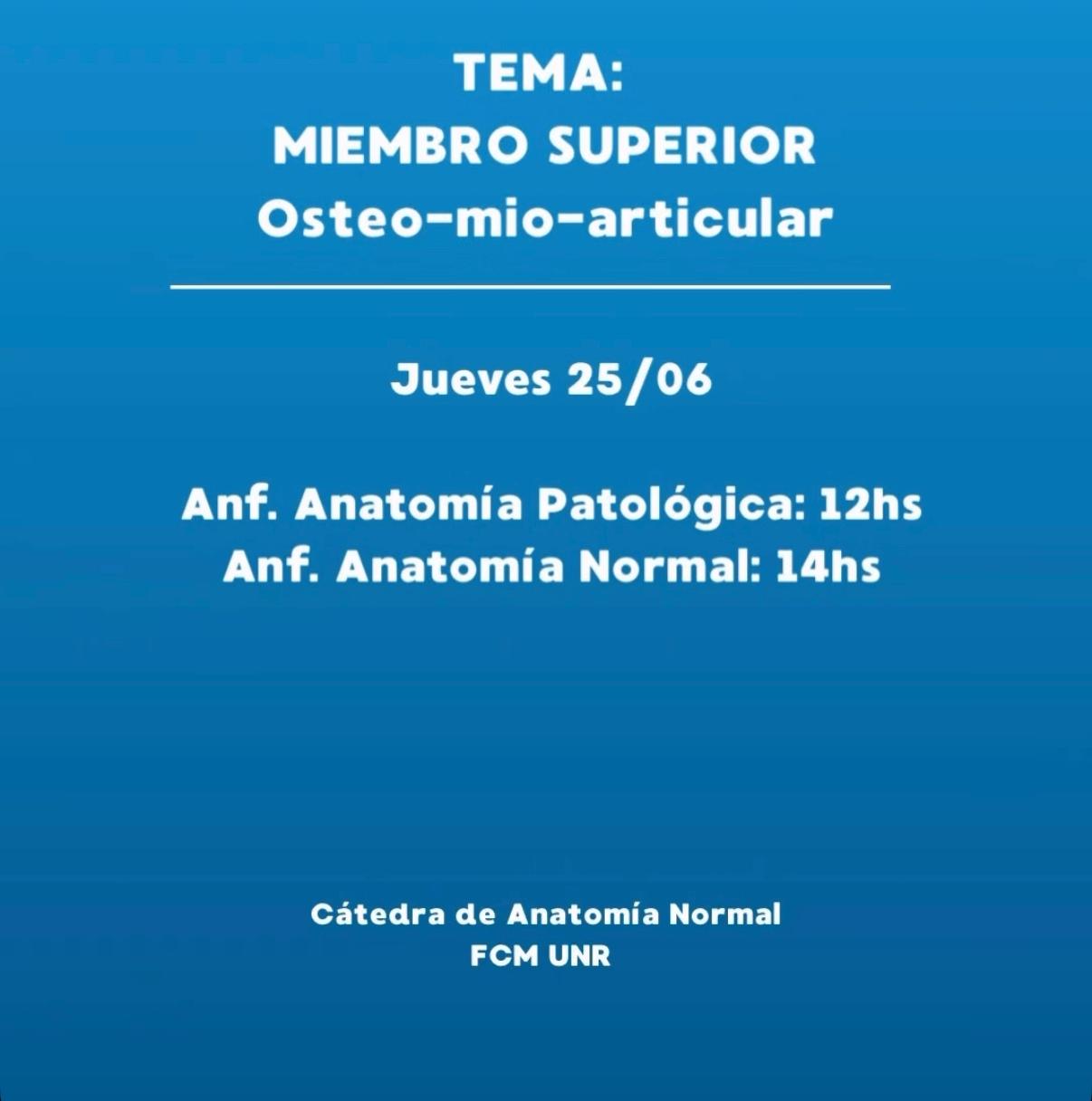 Seminarios optativos de Anatomía "Miembro superior. Osteo-mio-articular ...